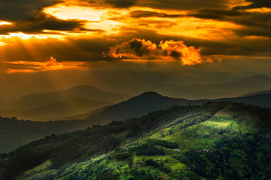 "DOOARS" THE HEAVEN OF NORTH BENGAL: JHANDI ECO HUTS