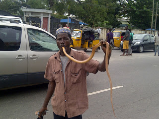 PHOTOS: MAN SWALLOWS LIVE SNAKE, VOMITS IT ALIVE UNHARMED IN LAGOS ...