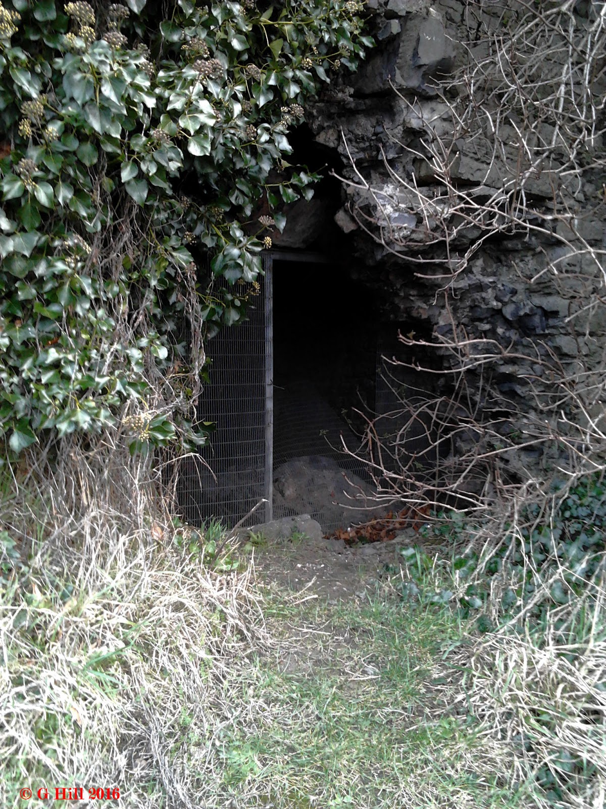 Ireland In Ruins: Ballymount Castle Co Dublin