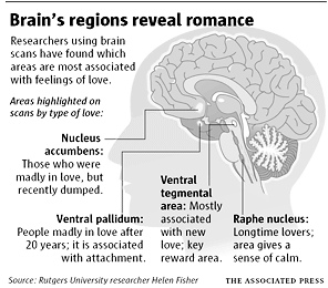 life is beautiful: The Chemistry of Love