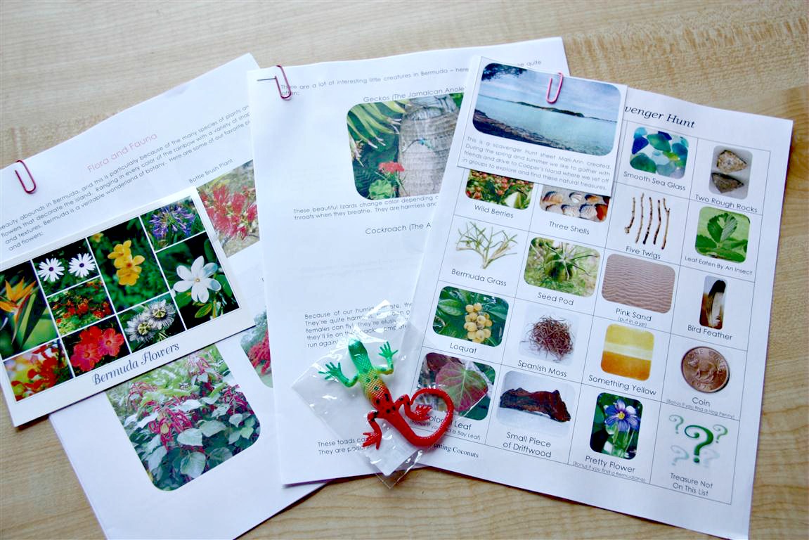 Counting Coconuts: Worldwide Culture Swap: Bermuda