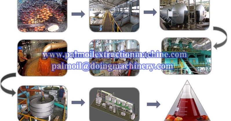 palm oil equipment manufacturing, exports and sales: Palm fruit oil ...