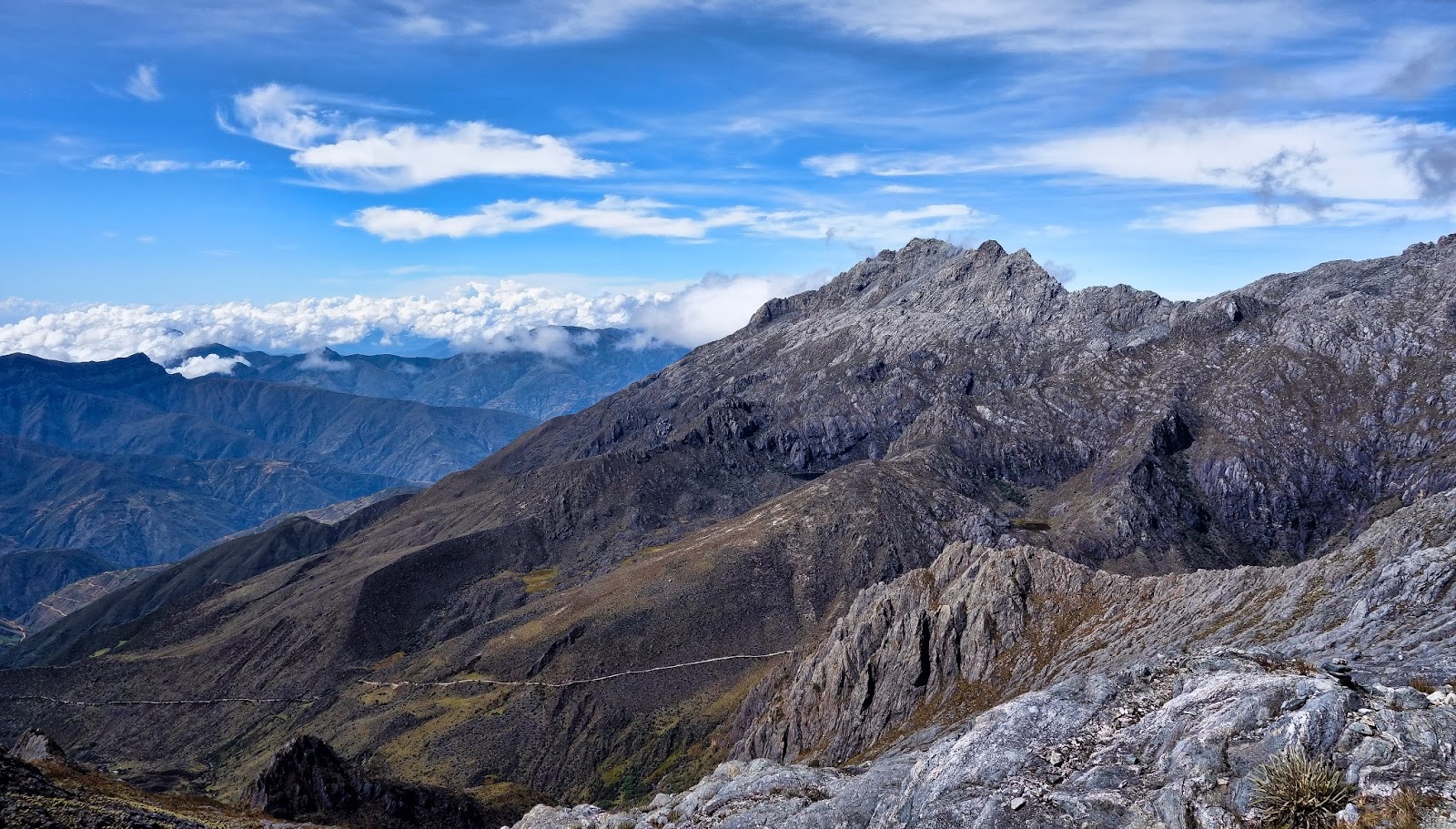 OFF THE BEATEN TRACK: Merida / Pico Bolivar