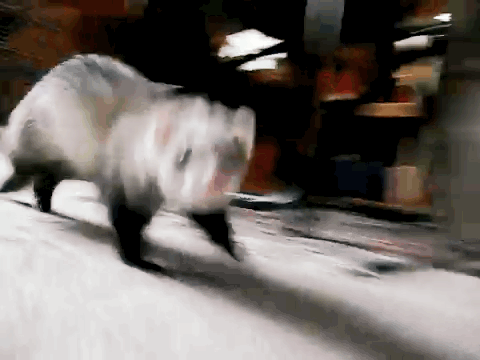 The Ice Doesn't Care: August 2017