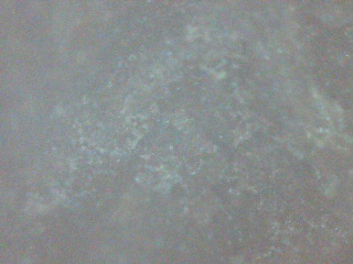 Under the Microscope: June 2013