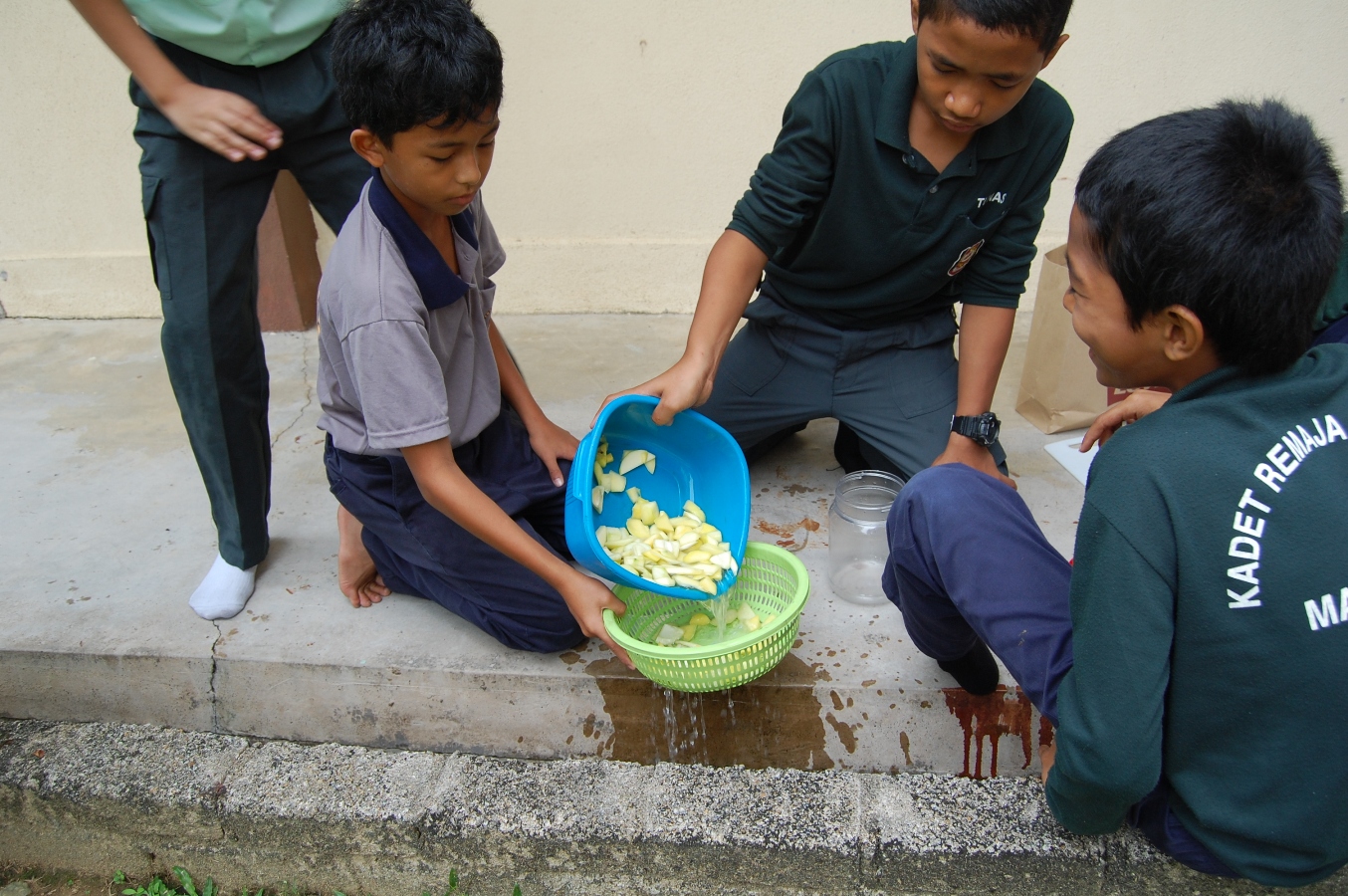 BLOG RASMI: PROSES PENJERUKAN