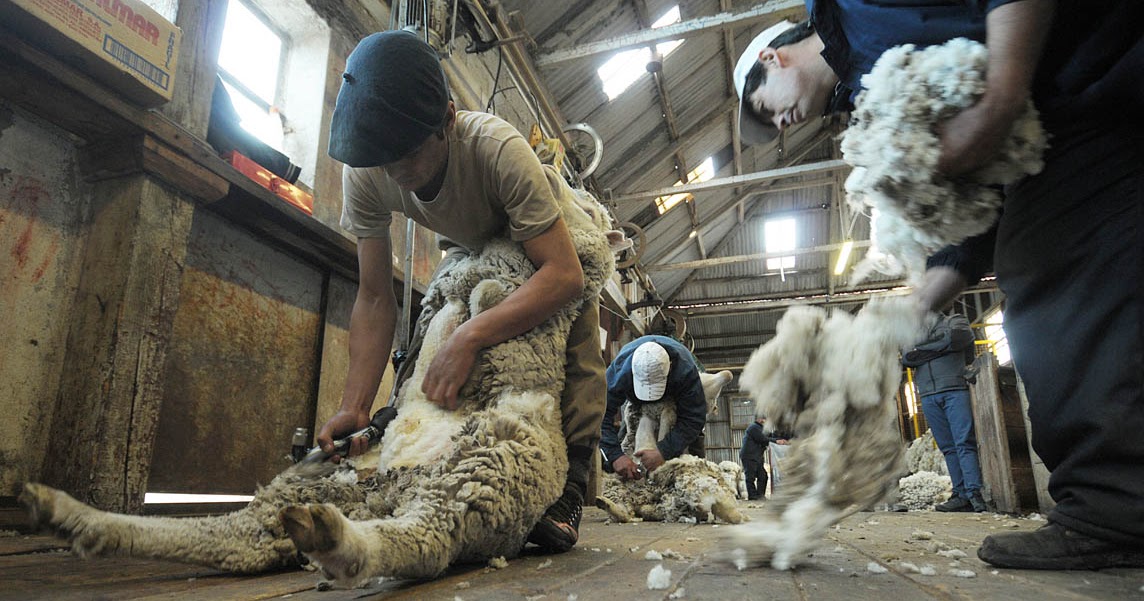 Ruta del telar: ¿Cómo se realiza el hilado artesanal?