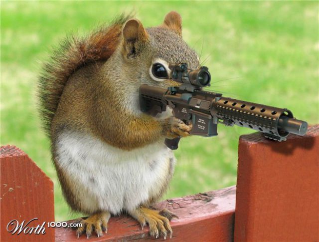 Flaming Zombie Monkeys: Sniper Squirrel