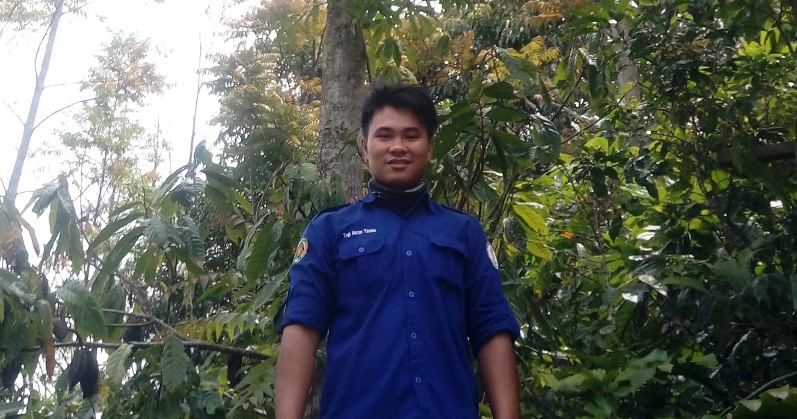 Tanaman Kehutanan: Pohon Suren