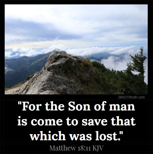 2 Timothy 2:15 Truth: Verse of the Day: Matthew 18:11 KJV