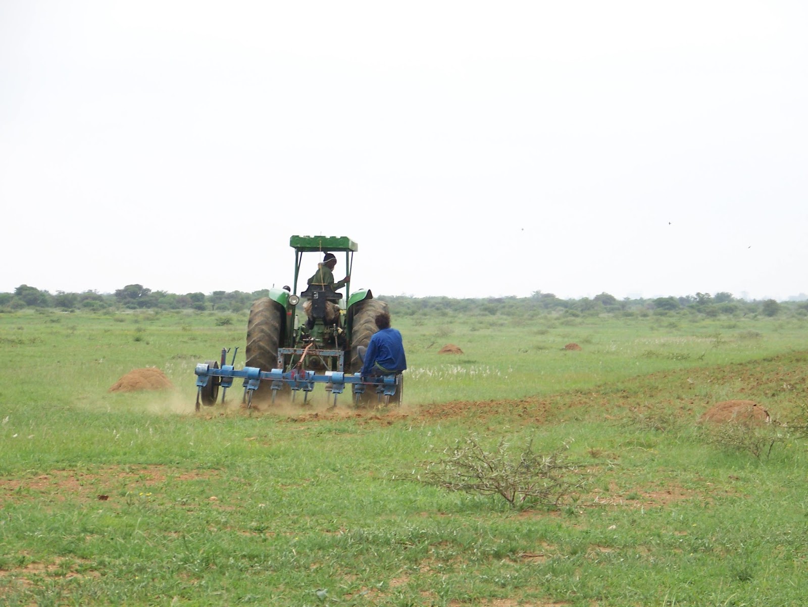 A Pretty Tourist: Meet the people of Pitsane, Botswana