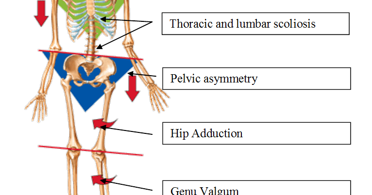 Teacher Training: Kinetic Chain