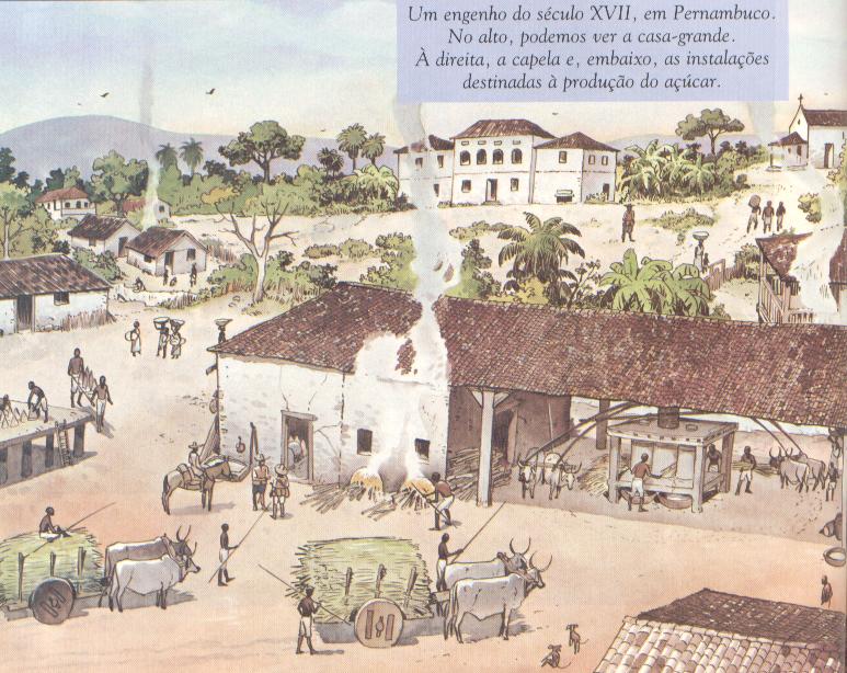 veias da história: Qual é o significado da palavra Sesmarias