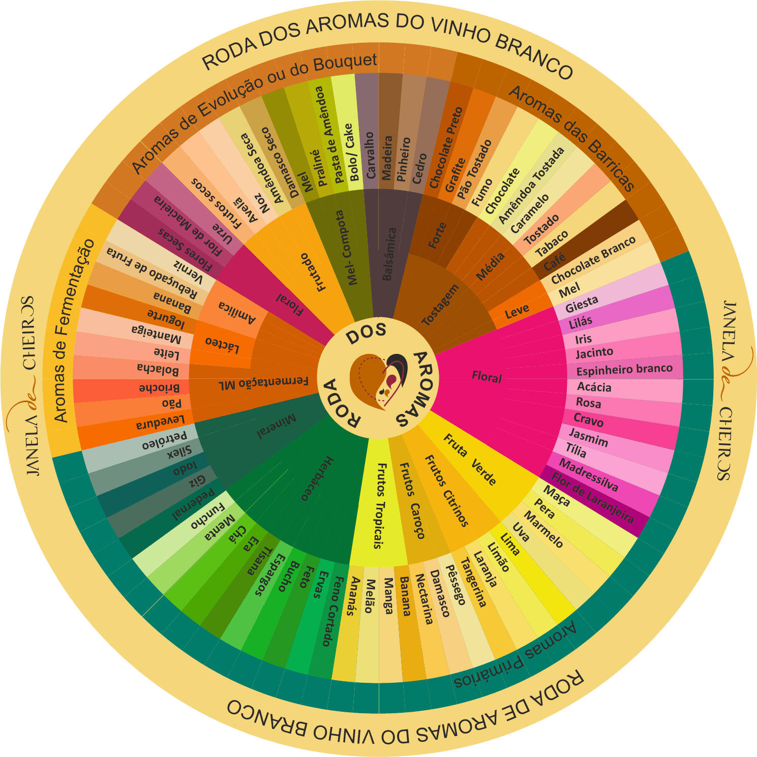Jean Vinhos e Cia: Aromas - Bouquet´s e o fascinante mundo do vinho ...