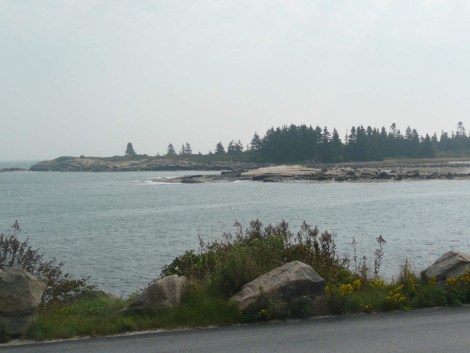 Tips from Chip: Hike – Schoodic Peninsula Park Loop Road and All Trails ...