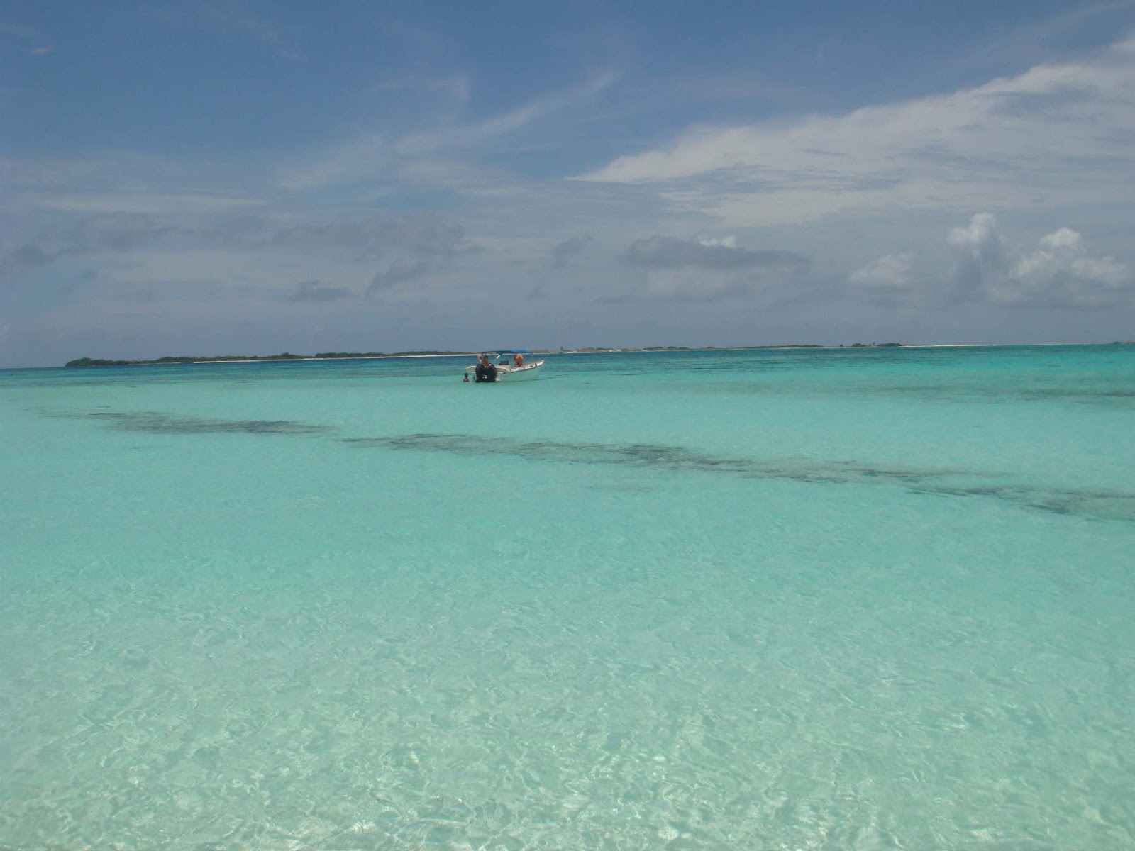 As praias de Los Roques, na Venezuela - Renata Viaja...