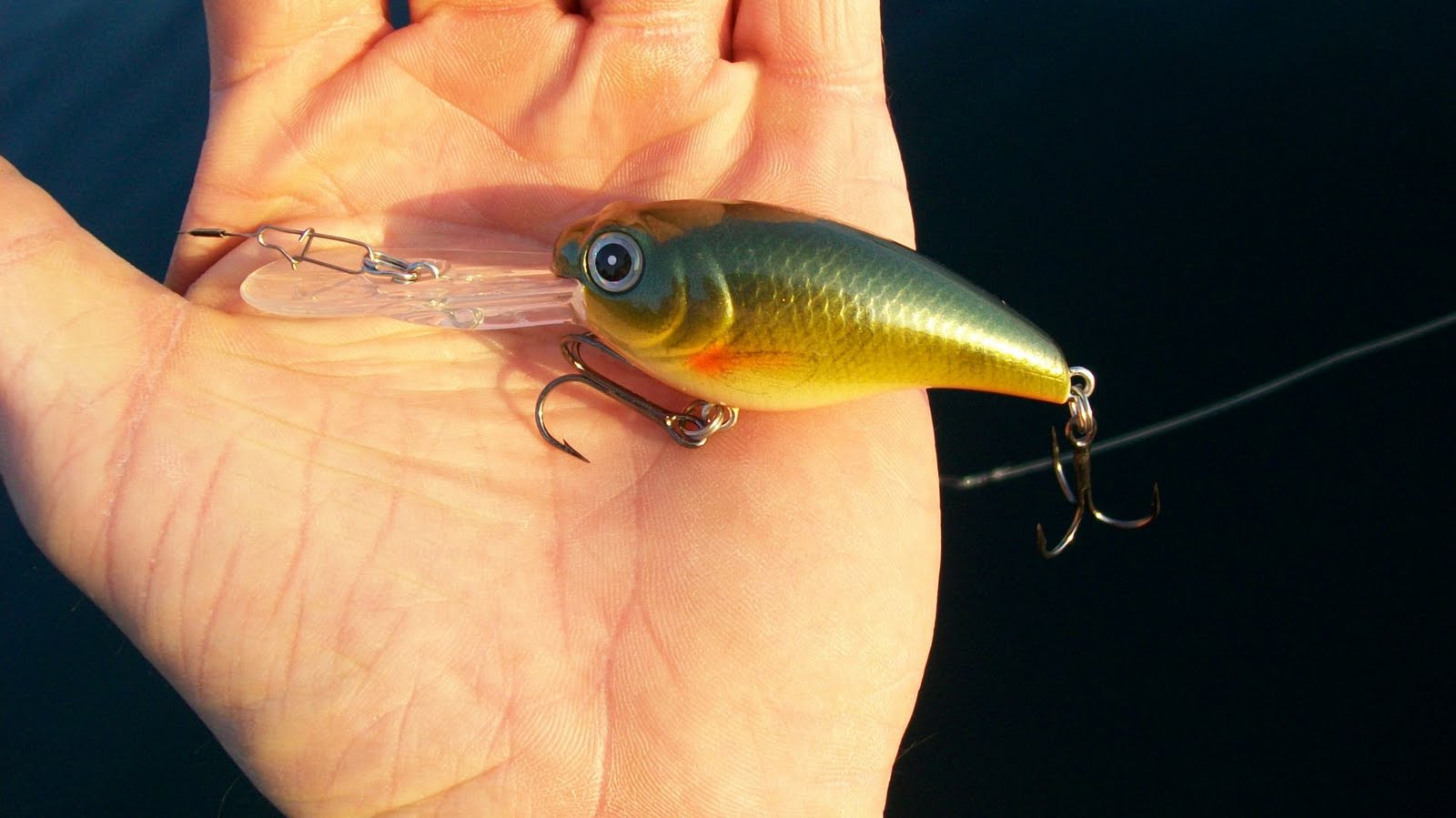 Spinfishing Maniacs: Der Mai im Rückblick