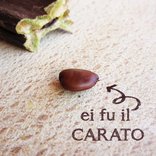 Gialla tra i fornelli: Carrube al forno