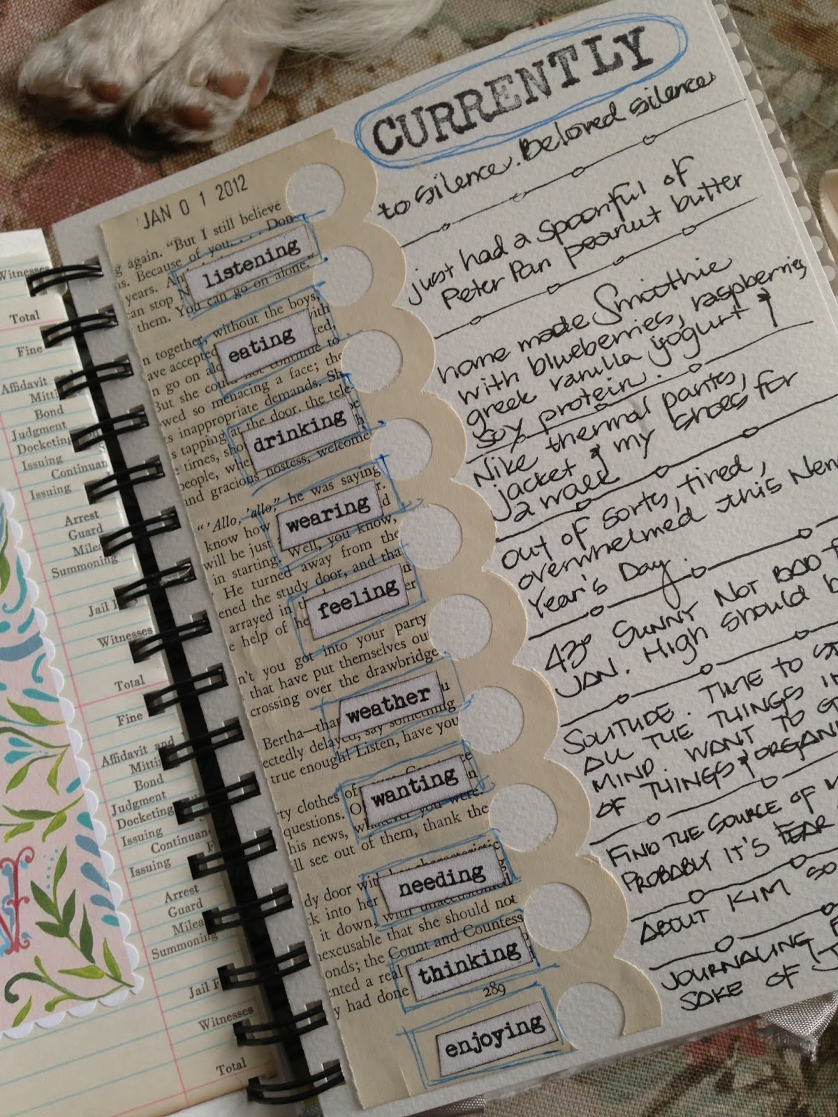 Robin Thomas: A Nest With A View: Life Journal