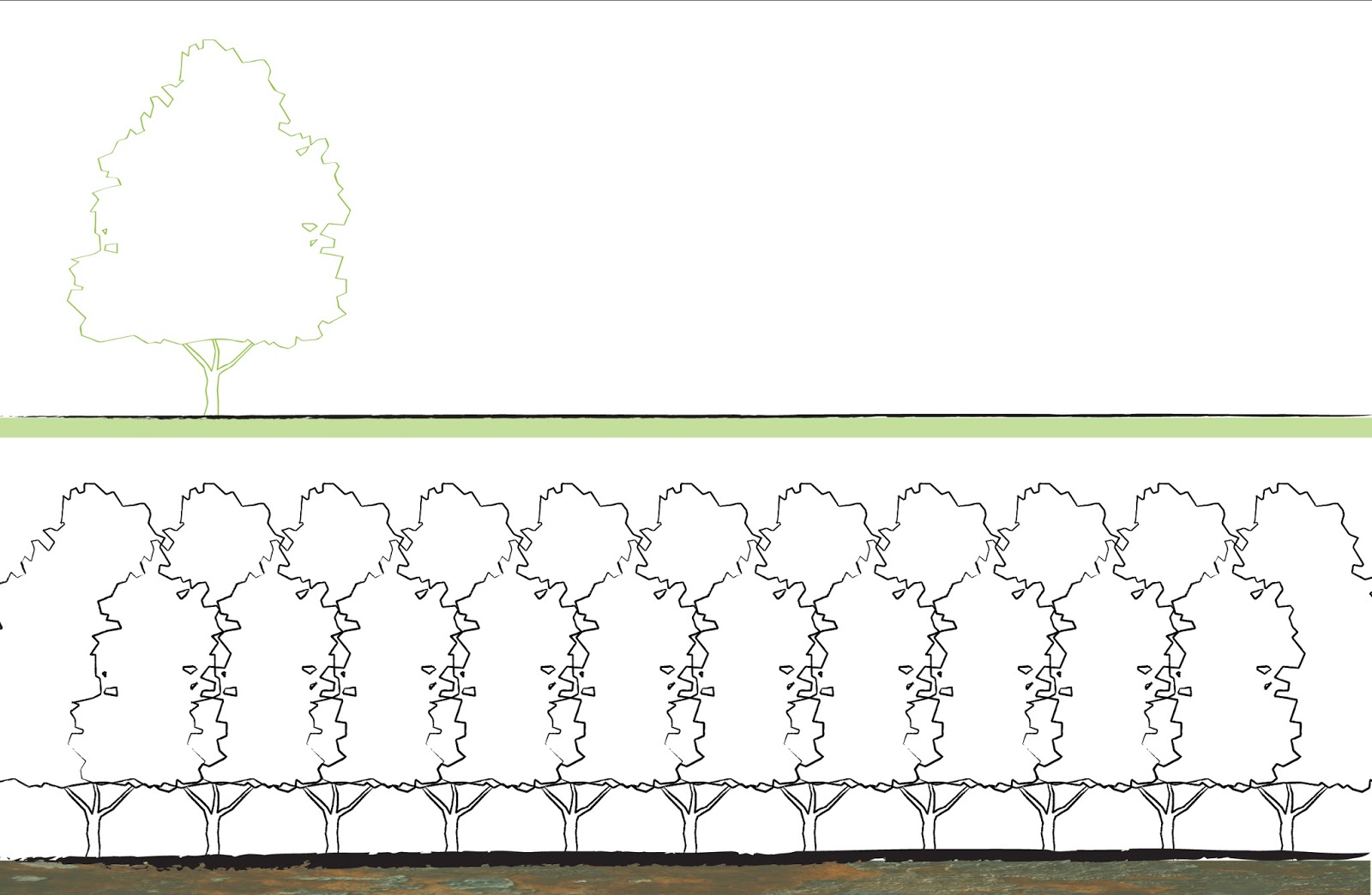 The Green Urban Home