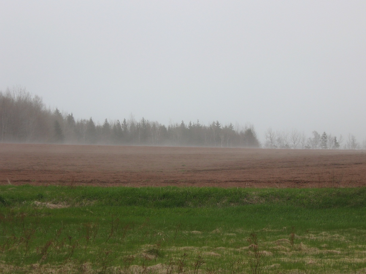 Pedaling PEI: Ground mist