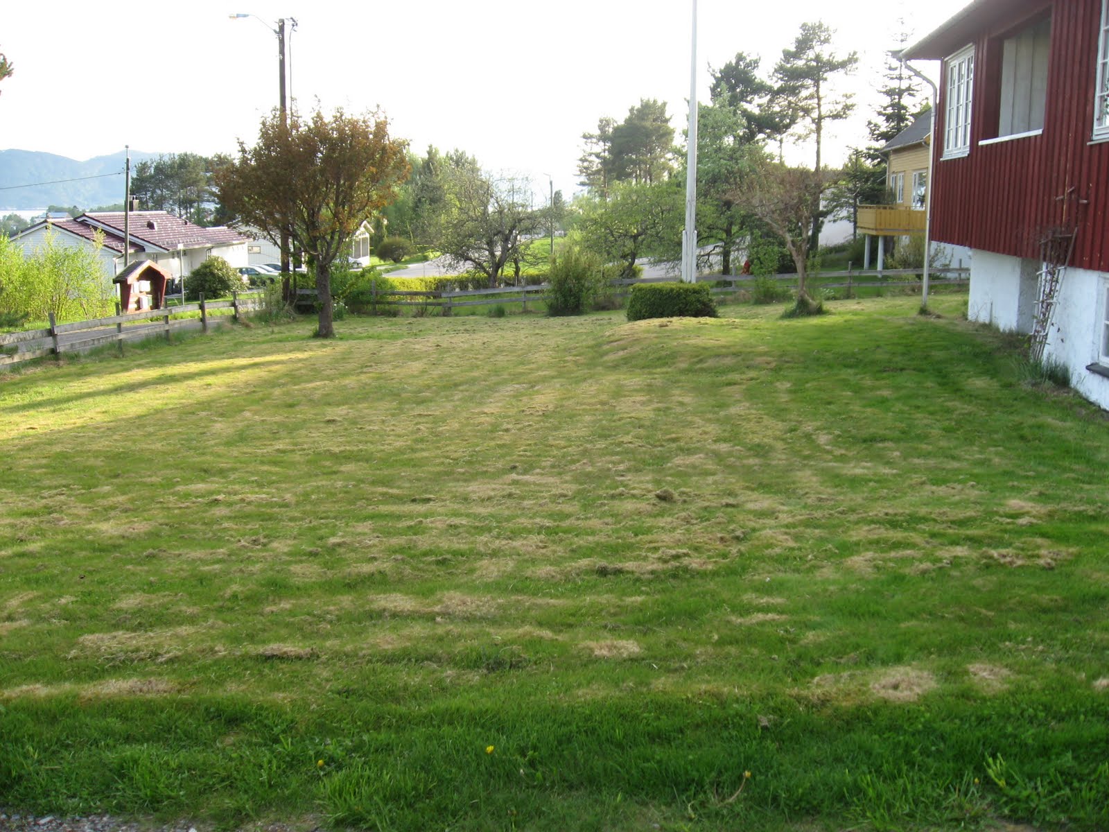 Nina i Paradiset: Å planlegge en hage.