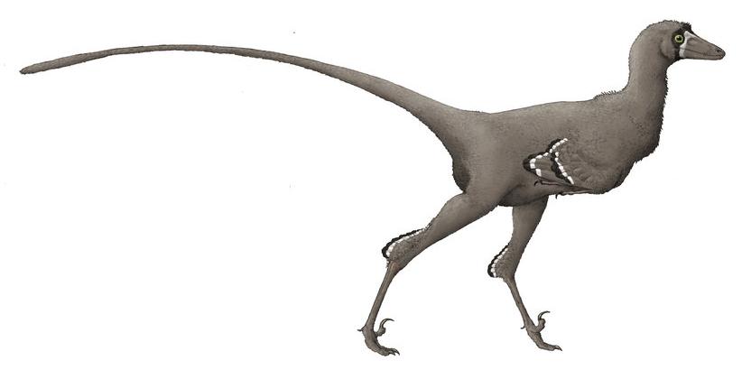 Los animales en la prehistoria: junio 2013