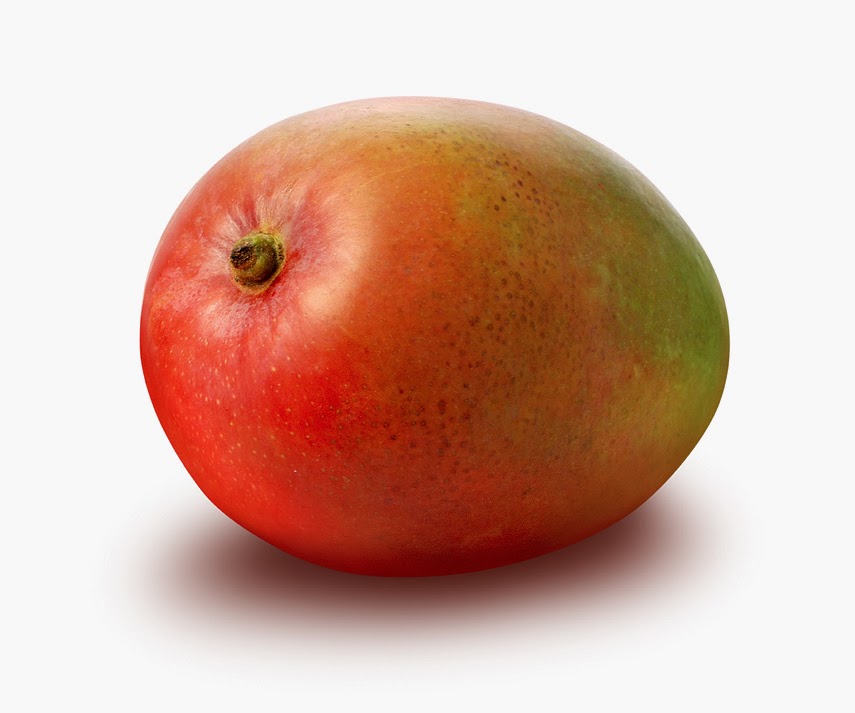 Sagnay Nelson Bellas Artes: Problemas Socio-Economicos