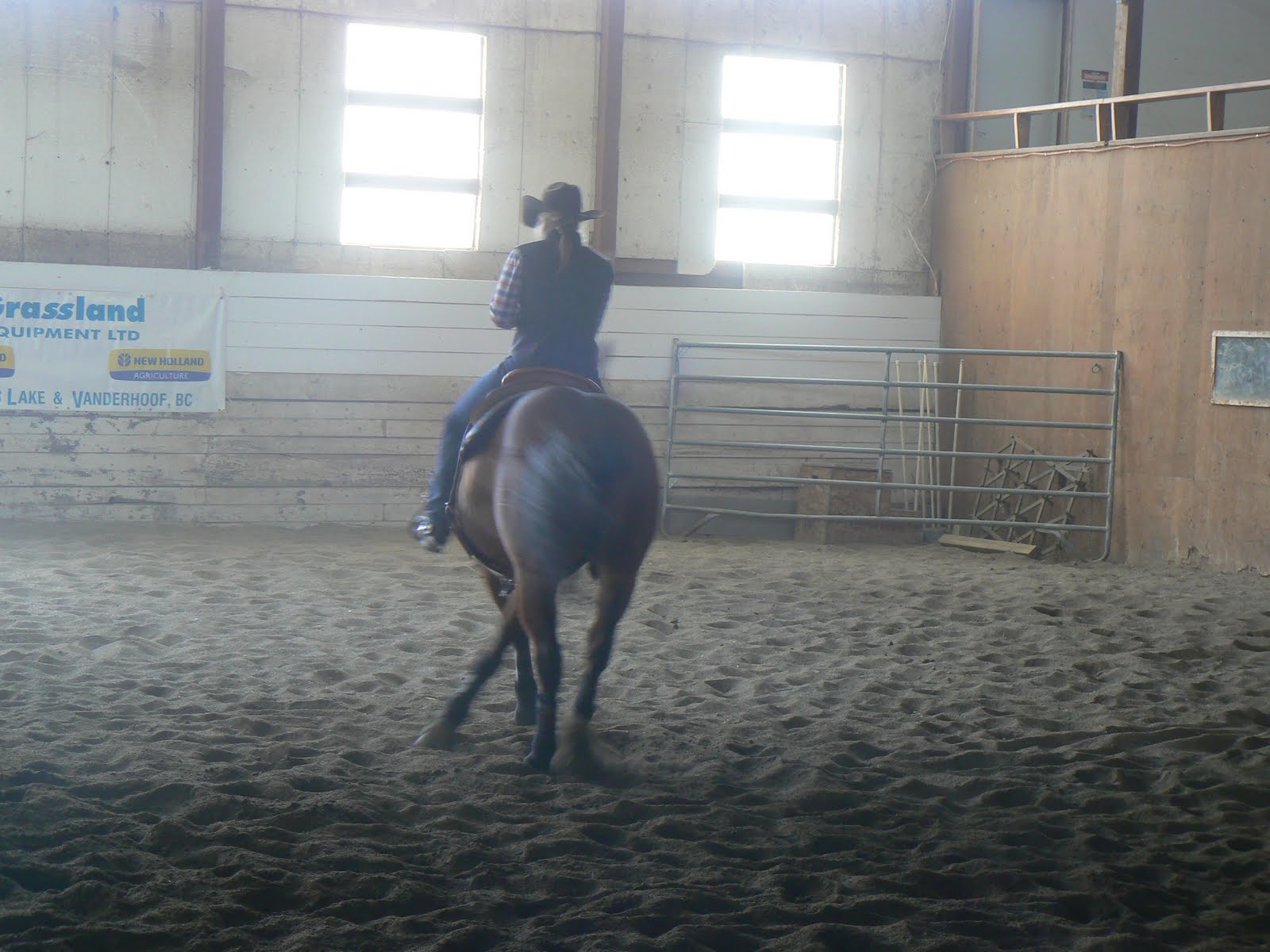 100 Mile Sliders Reining Club: 100 Mile Horse Bazaar