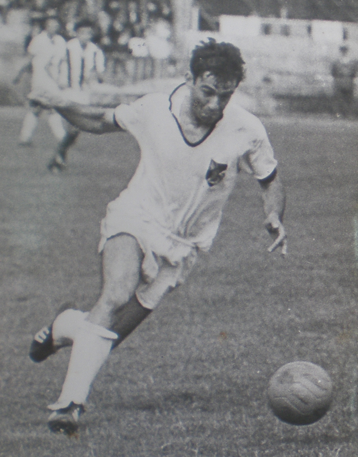 Memória Azul: Gualter