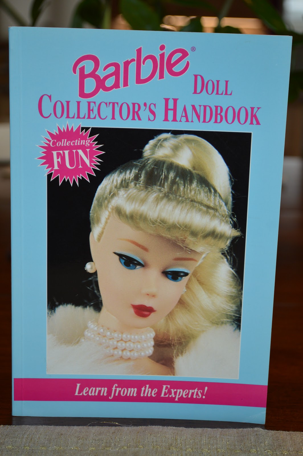 The Barbie Blog: For Reading Pleasure