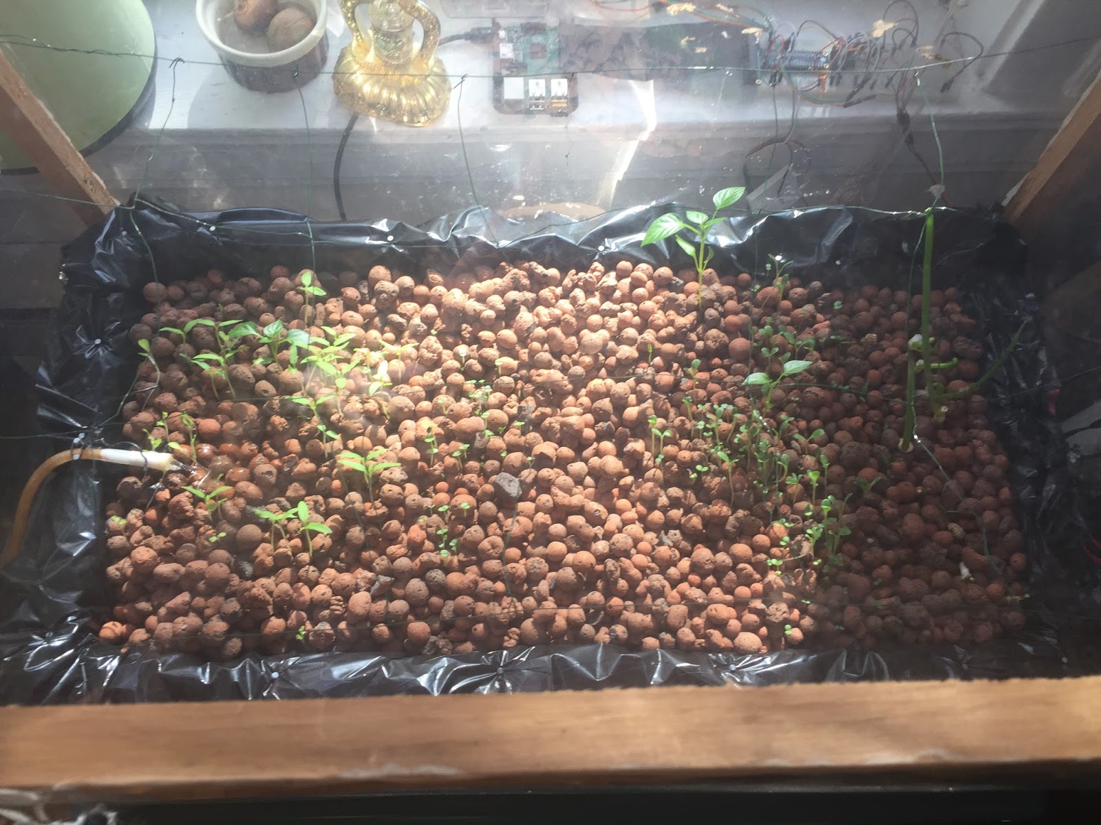 Raspberry Pi Powered Hydroponics: Raspberry Pi Powered Hydroponics ...