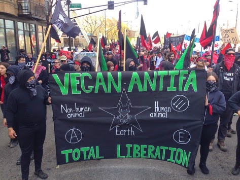 The Feral Space : Vegan anarchist anti-fascists join May Day Chicago ...