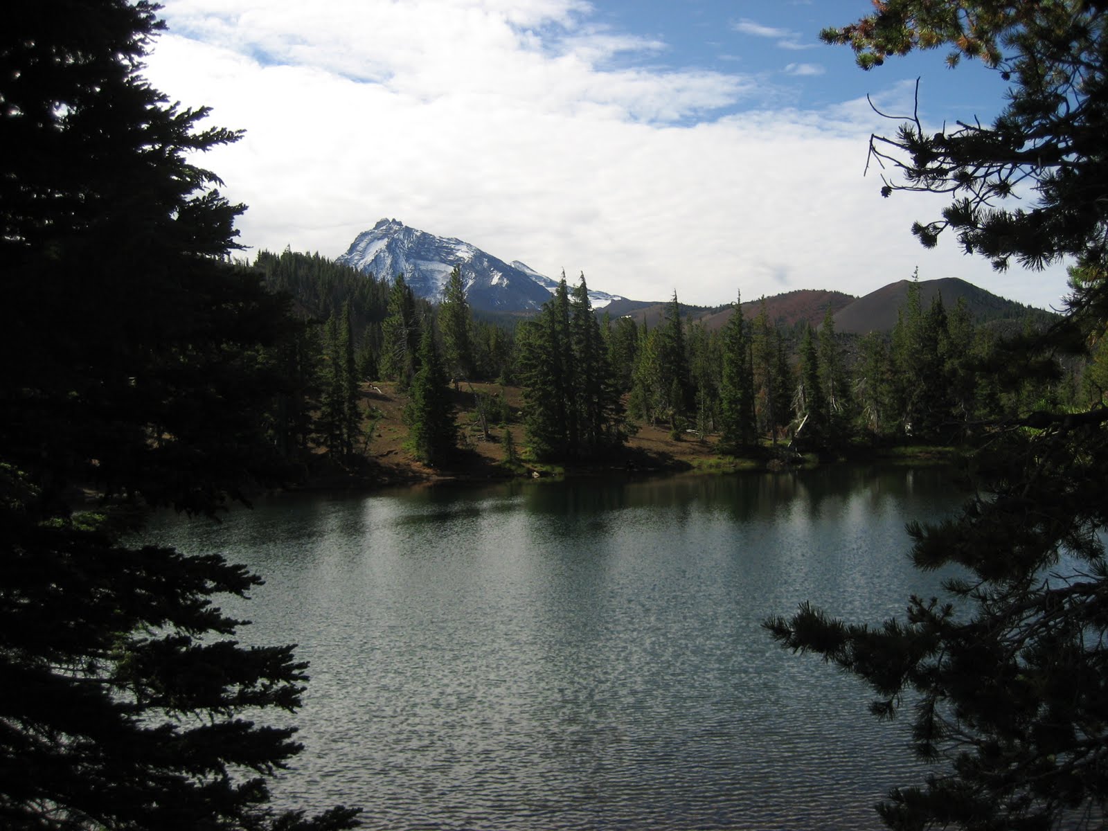 Running in the World: Risks and Roller-coasters