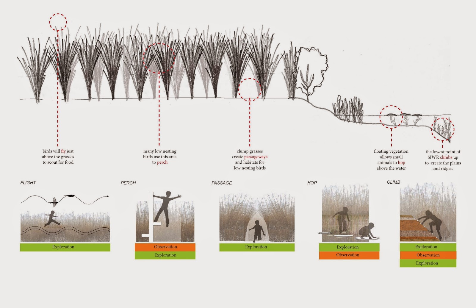 Portfolio: Seven Islands Wildlife Reserve