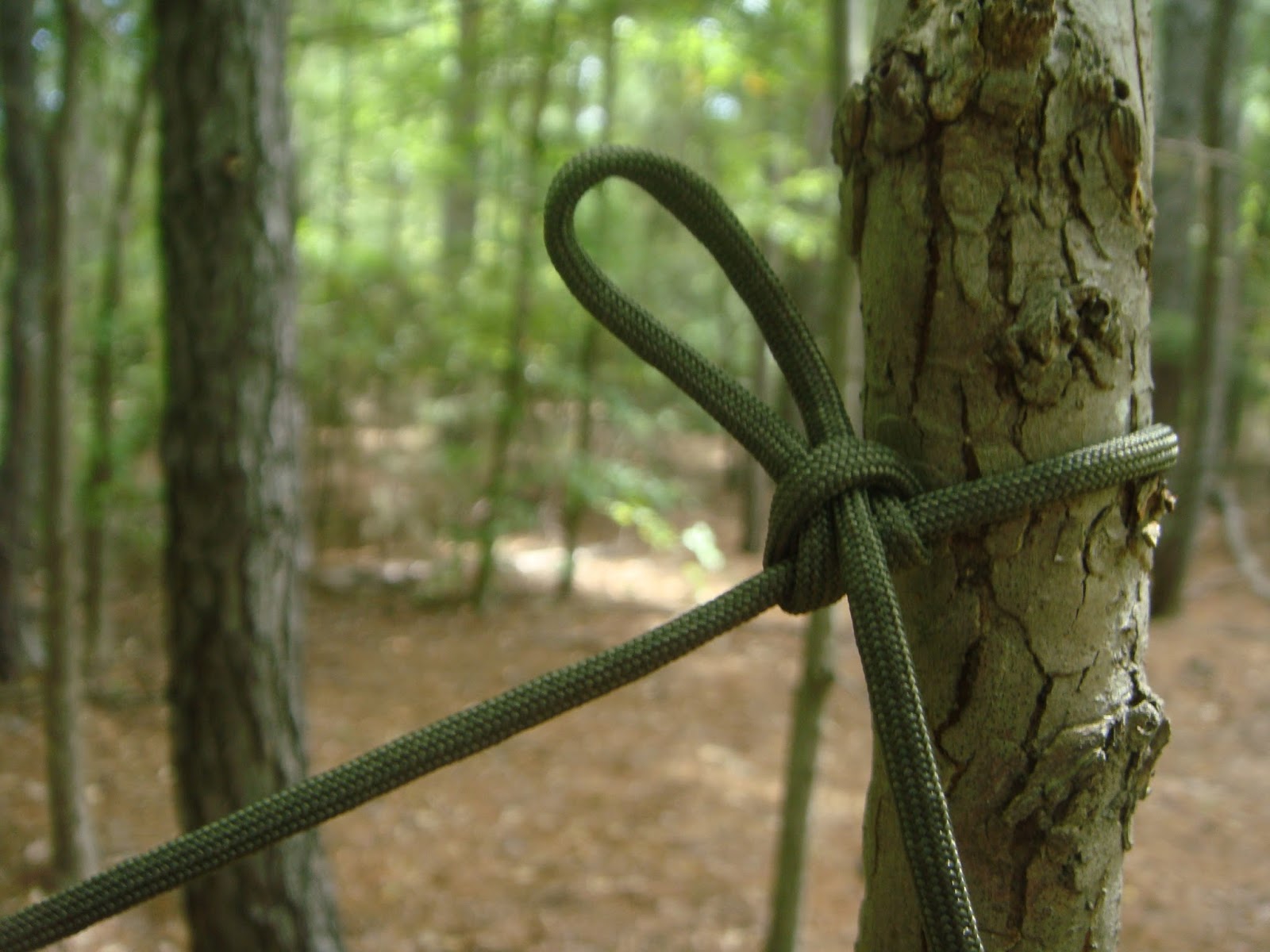 Sensible Survival: The Plow Point or Diamond Fly Tarp Set-Up