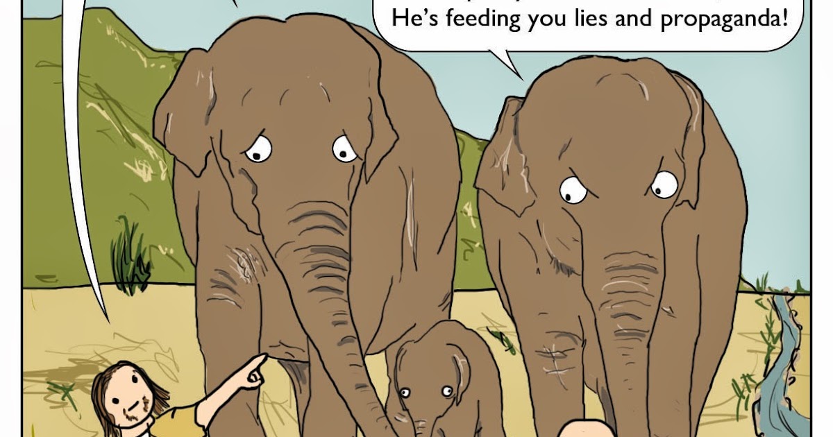 Skeleton Blog: Pachyderms