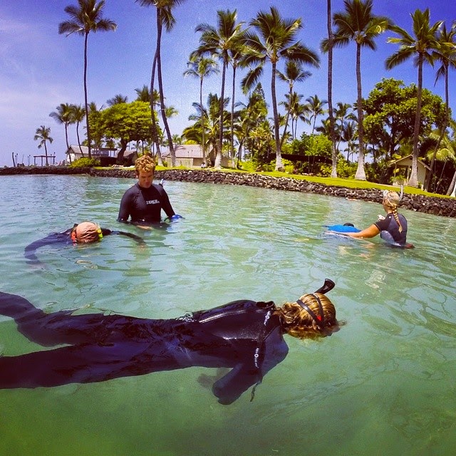 A Submersed View of Life