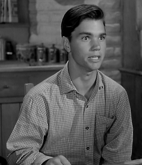 Captures Cinema: Darryl Hickman - La luz brilló dos veces [Lightning ...