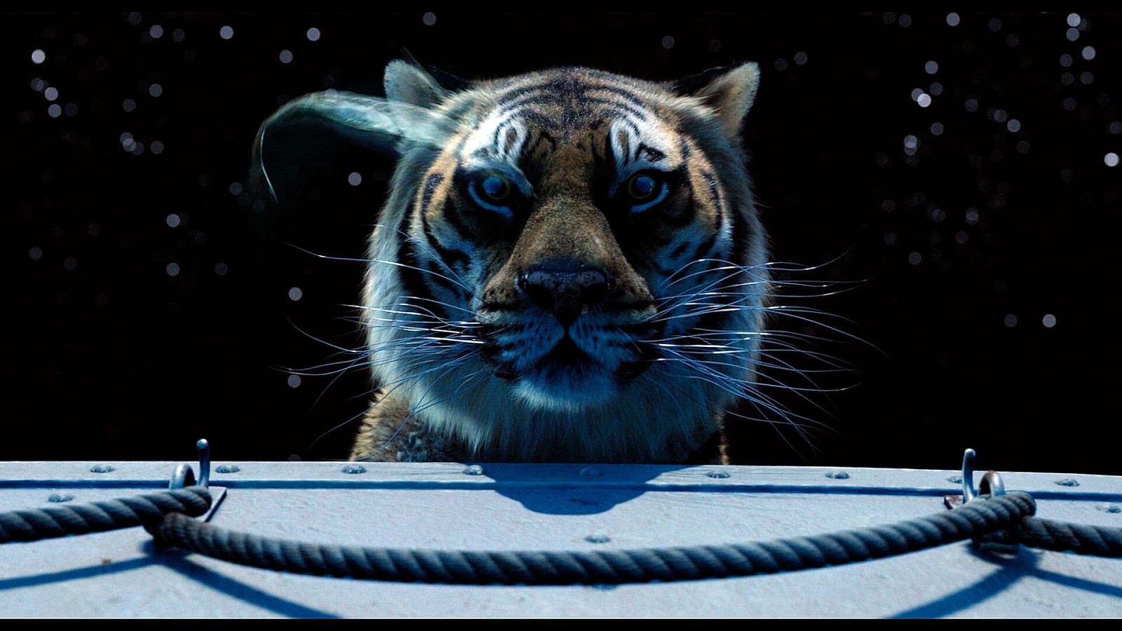 Pitada Cult de Cinema: As Aventuras de Pi (Life of Pi)