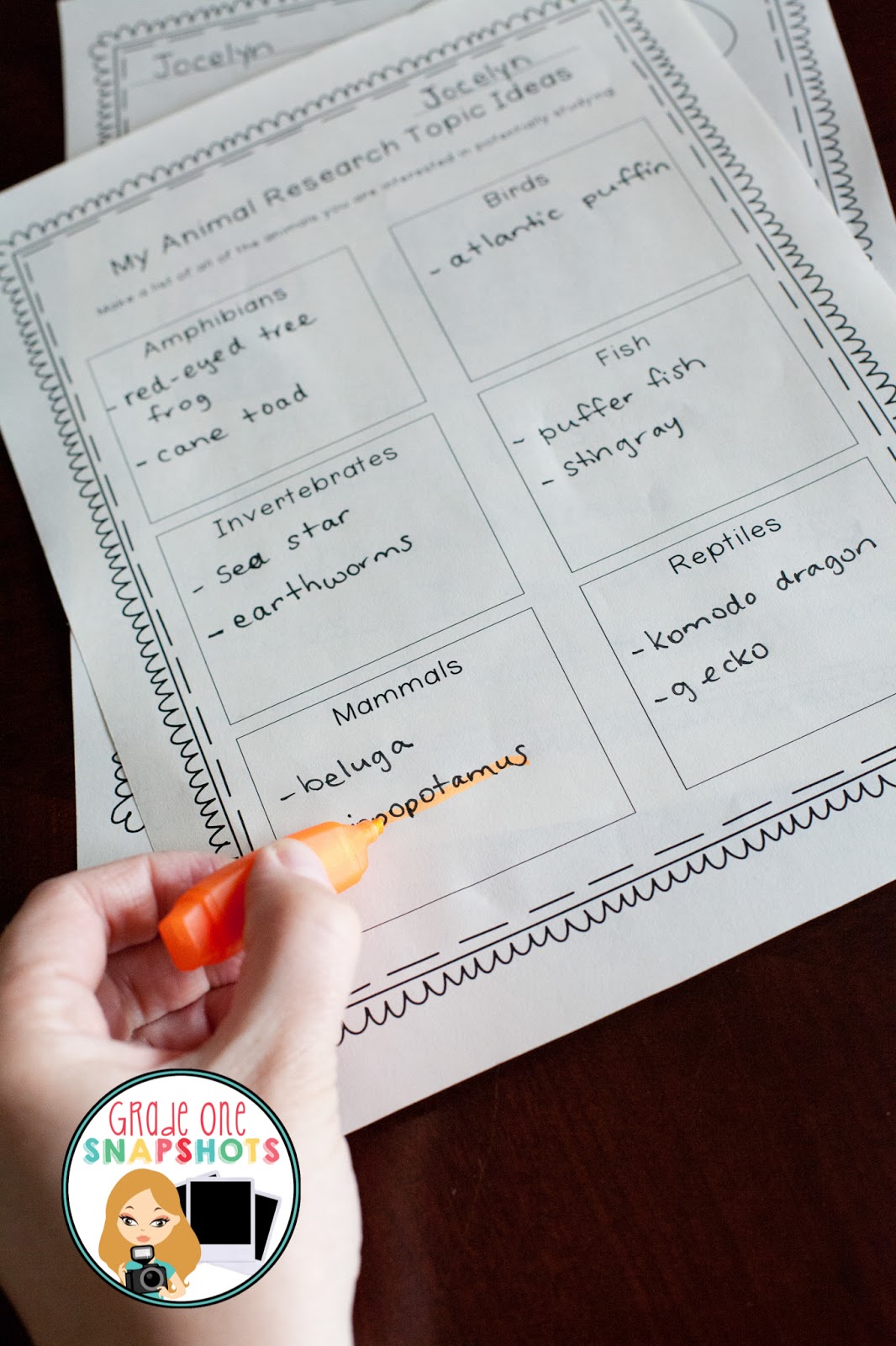 Grade One Snapshots: Animal Research for Primary Students