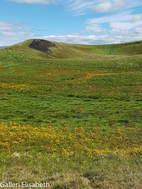 Husbilen Ellen: Mývatn - Skútustaðagígar - Akureyri - Dalvik, etapp 11