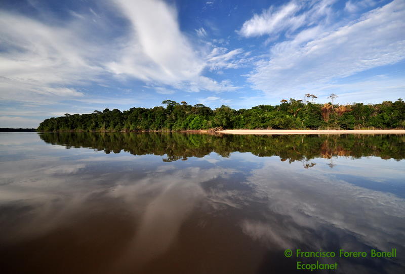 El Río Inírida: Las mejores fotografias!