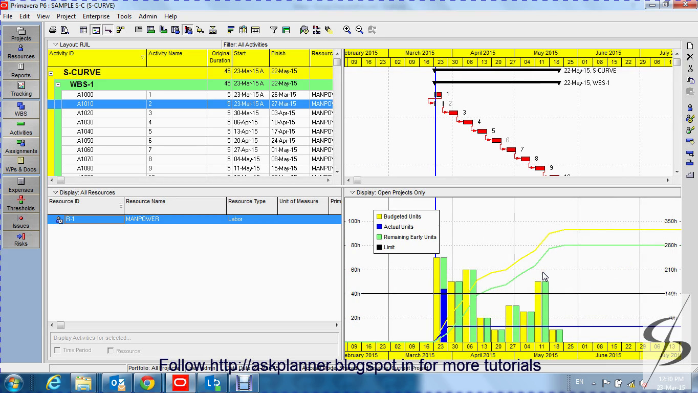 S-Curves Made Easy in Primavera P6