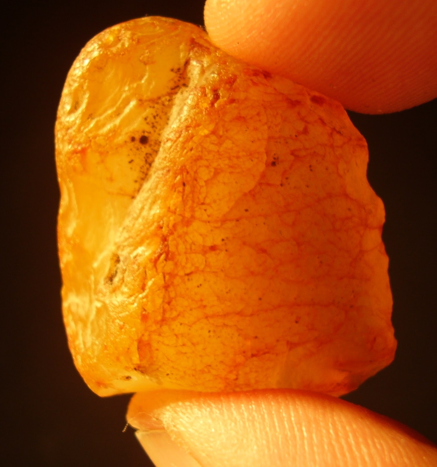 Archaeology of Portable Rock Art: Oregon translucent pebble has been ...