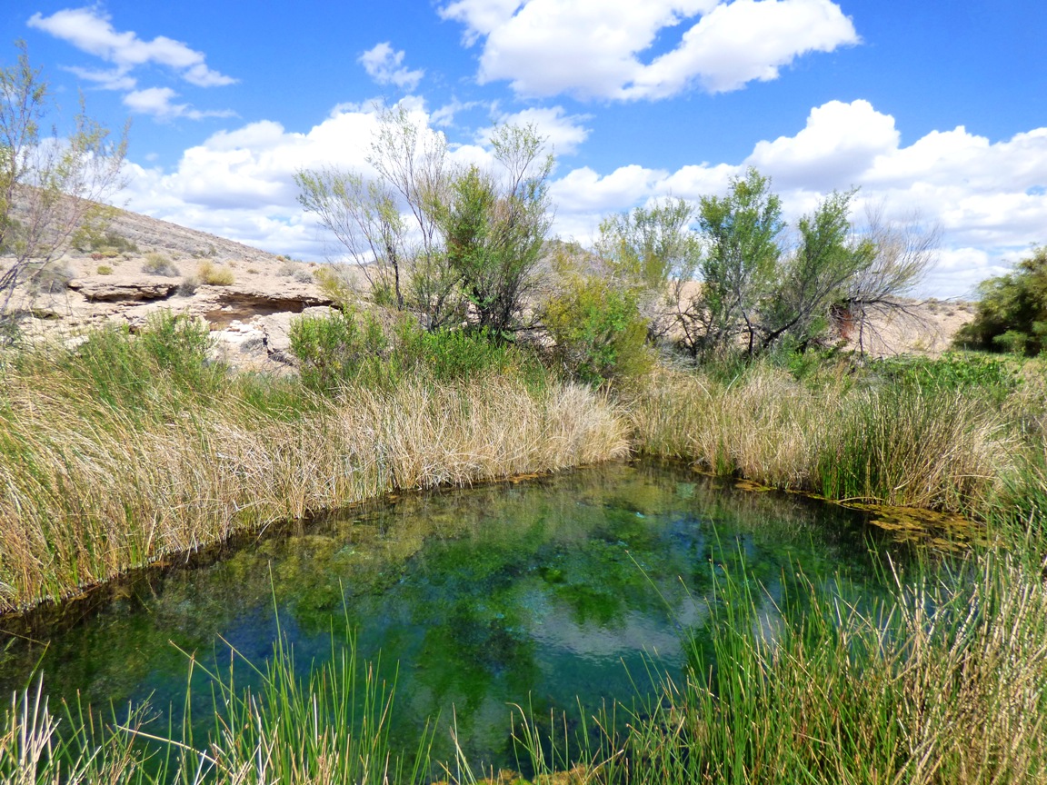 Geotripper: There are Islands in the Desert: A Look at Ash Meadows ...