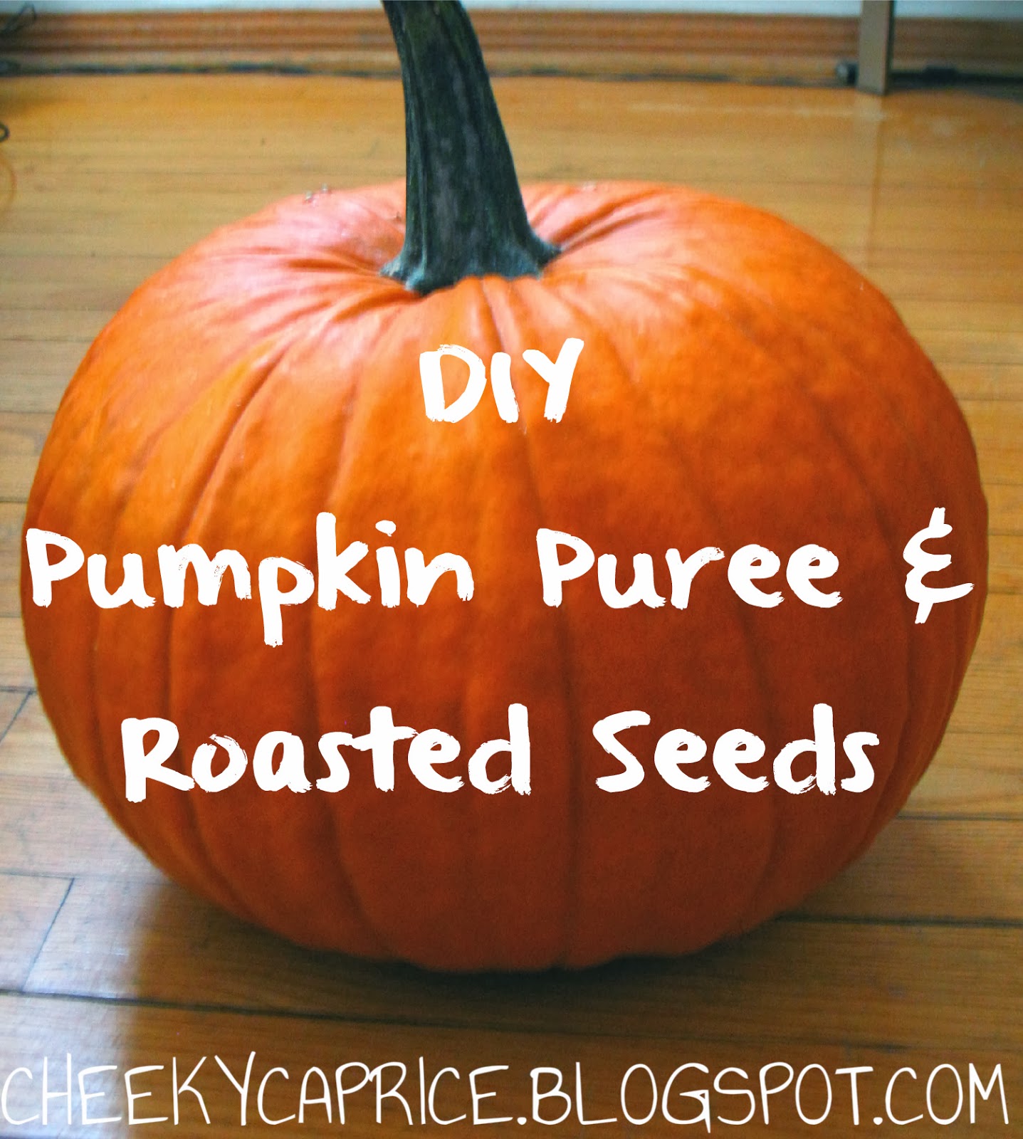 Cheeky Caprice: How to bake pumpkin guts! Sexy Vegetarian Thursday.