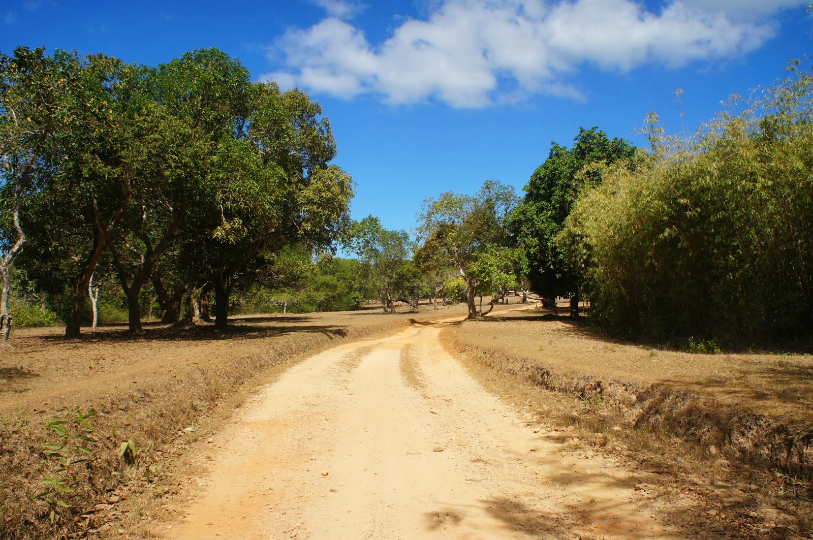 My Sweet Escape To: Calauit Island, Palawan, Philippines