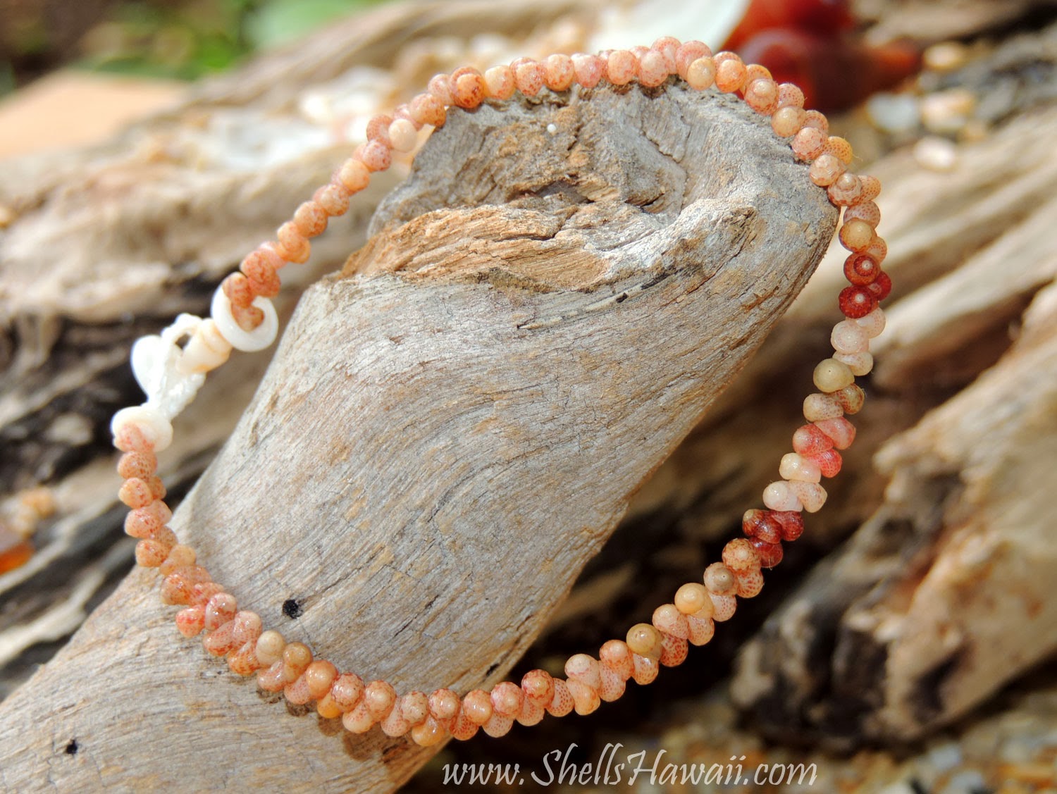 Kahelelani & Sunrise shell jewelry by.... Janjira: Kahelelani shell ...