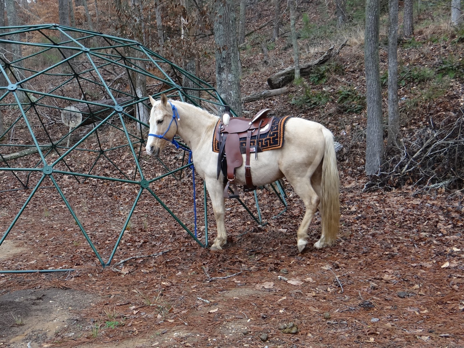 Walkabout With Wheels Blog: Get Ready... Competitive Mounted Orienteering